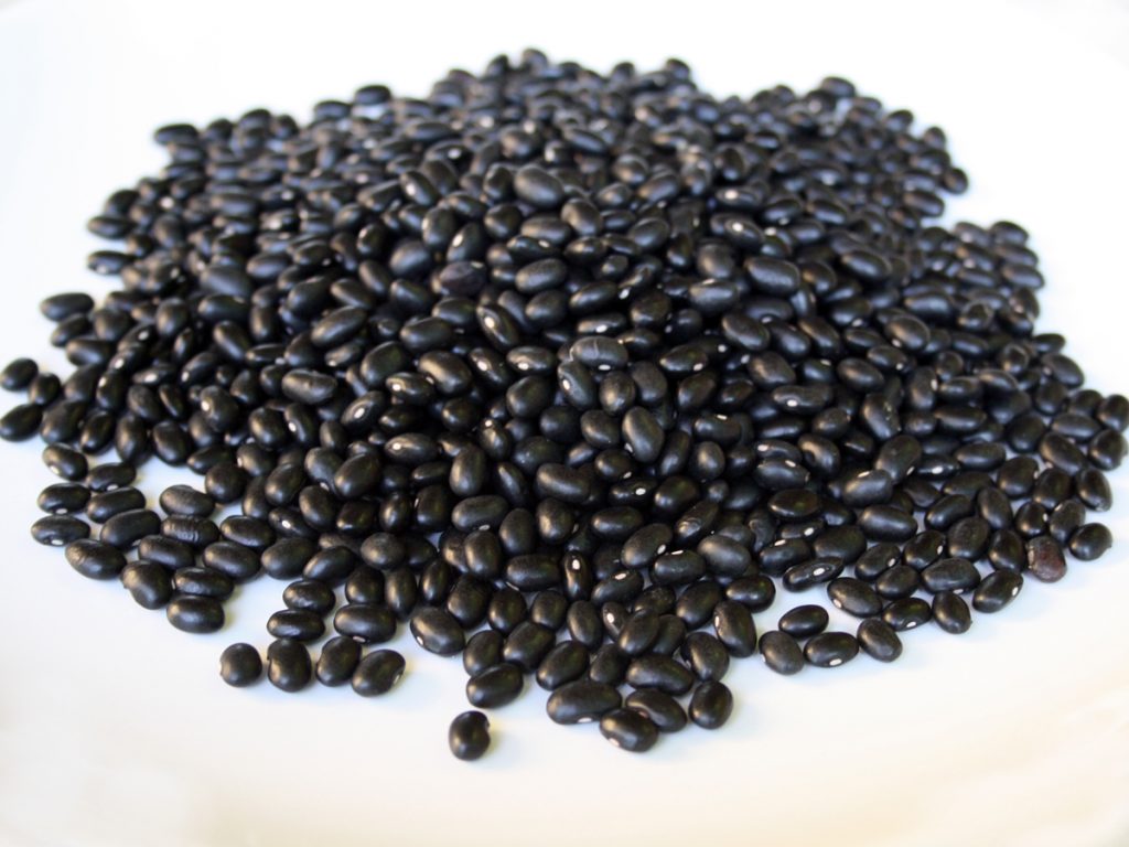 Feijão - Sabor Brasil